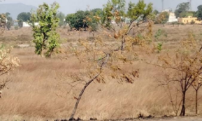 Baripada in Odisha records all-time high 46.4° C; heatwave to continue ...
