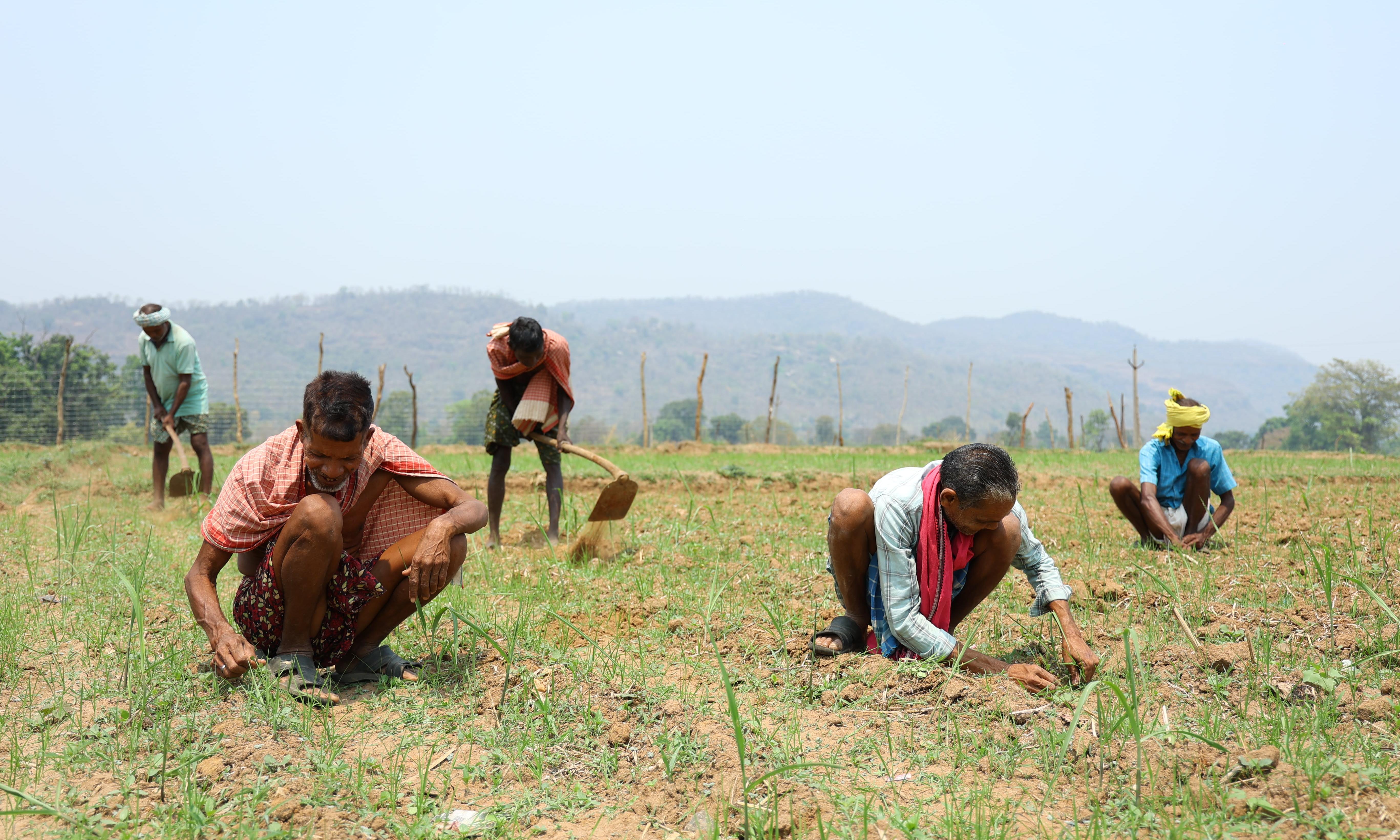 Climate-Resilient Livelihood Project Launched In Rural Odisha to ...