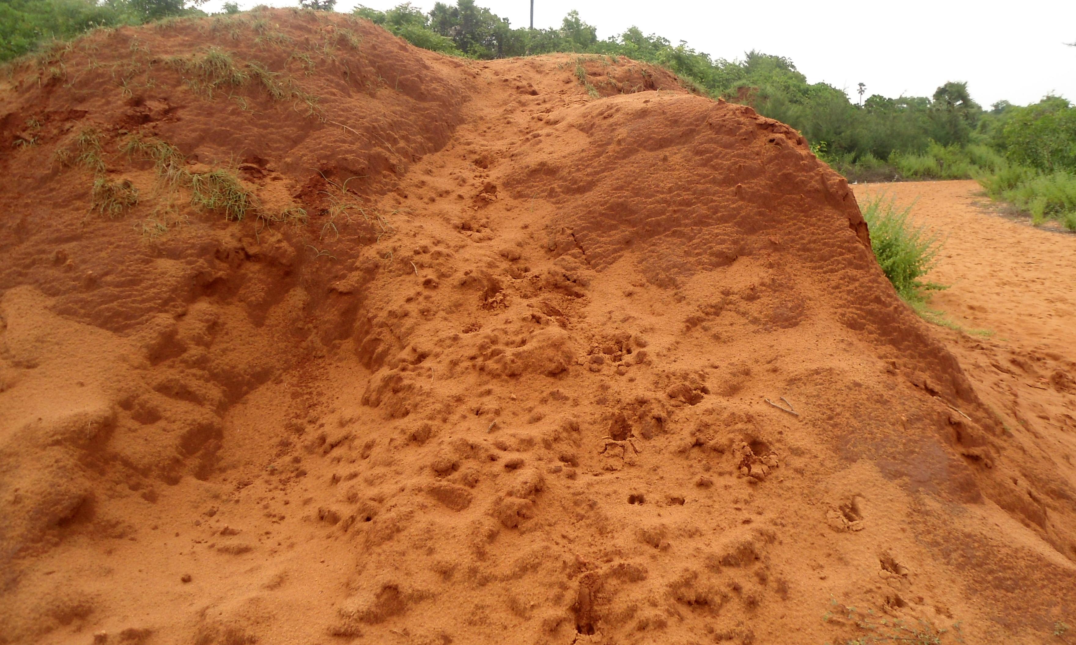 CMO Inquires Into Destruction of Erra Matti Dibbalu