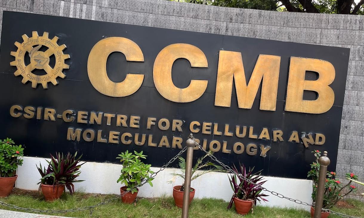 Cells May Have Phoenix-Like Ability, Finds CCMB