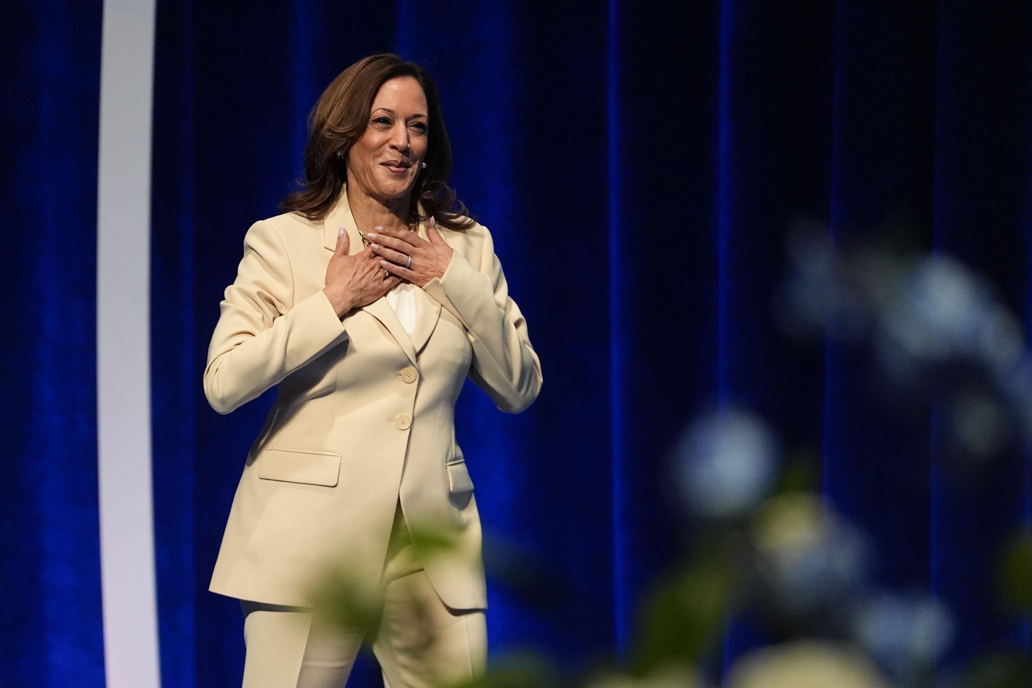 Vice President Kamala Harris officially declares candidature for US ...