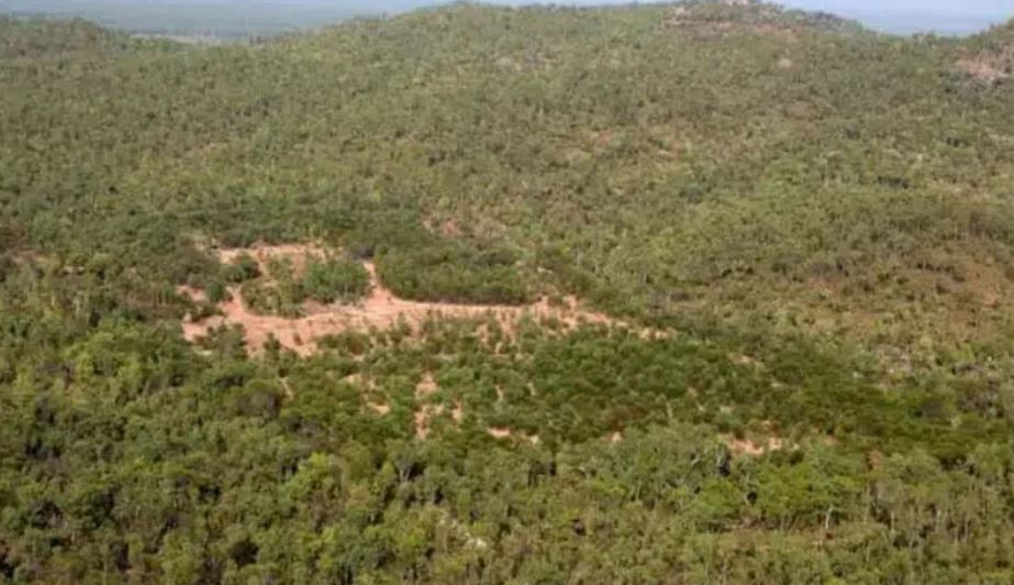 Survey Reveals AP Forest Cover Has Grown Post Bifurcation