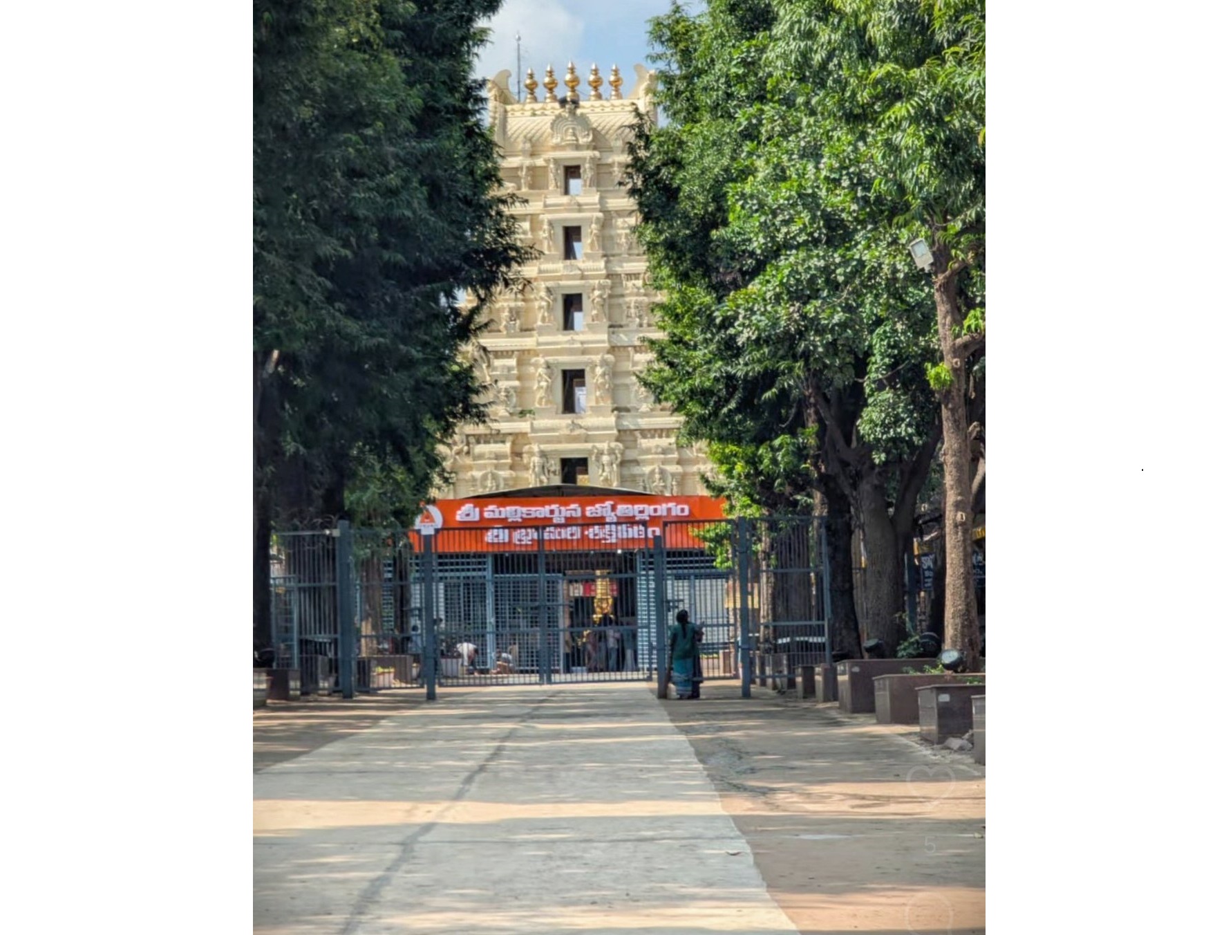 Bhringi Vahana Seva marks second day of Srisailam Brahmotsavam