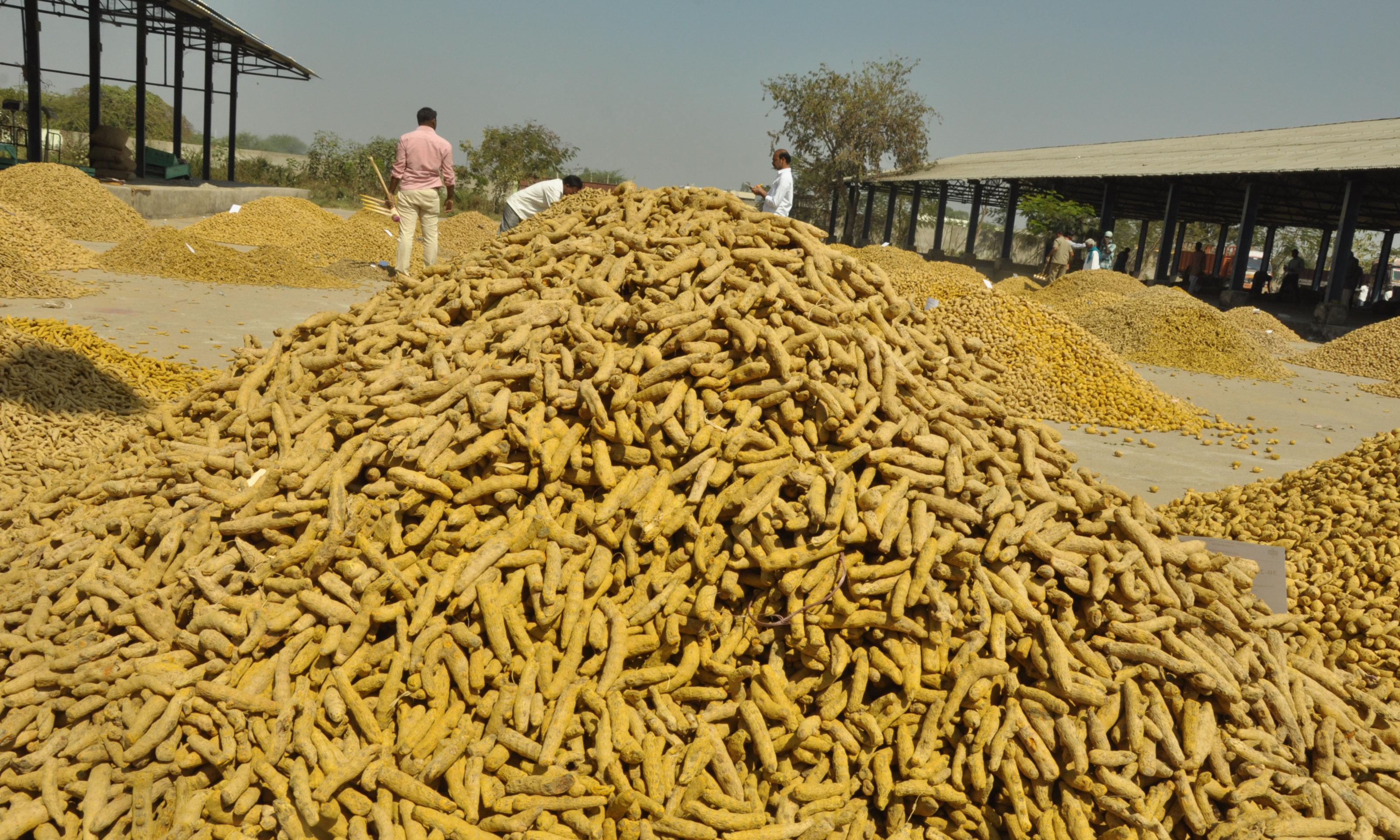 Andhra Pradesh: No Mention of Turmeric Board in Budget Worries Farmers