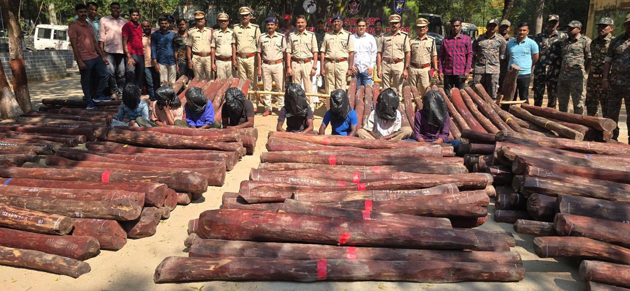 Delhi STF Seizes 10 Tonnes of Red Sandalwood Smuggled from Tirupati; 2 Held