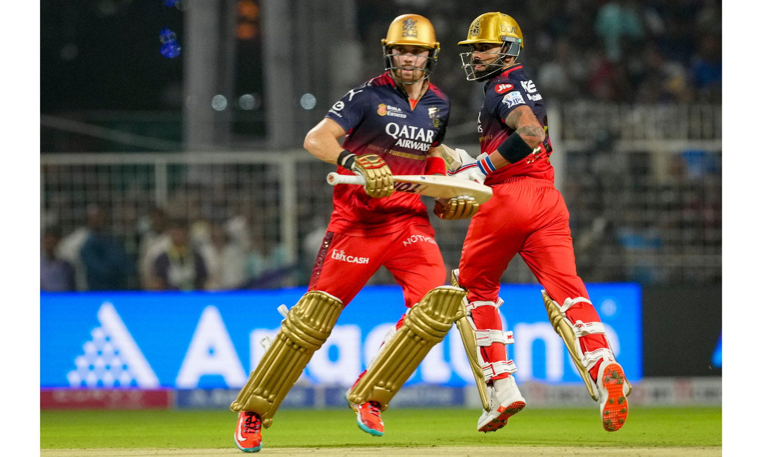 There's something special about this RCB unit this year: Matthew Hayden