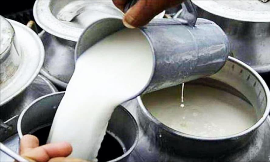 Poranki Goshala To Supply Milk To Indrakeeladri For Sri Chakra Archana