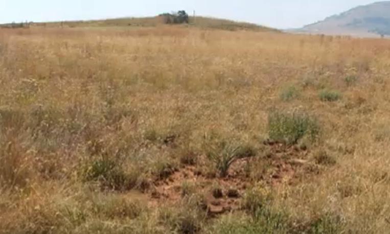 Vizagite Hands Over 30-Acre D Patta Land to Government