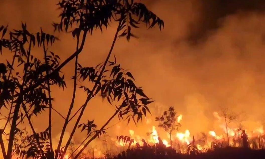 Telangana: Trees Across 30 Acres Burnt in Veld Fire at Velugumatla ...