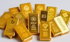 BSF Seizes 20 Gold Biscuits Near Indo-Bangla Border