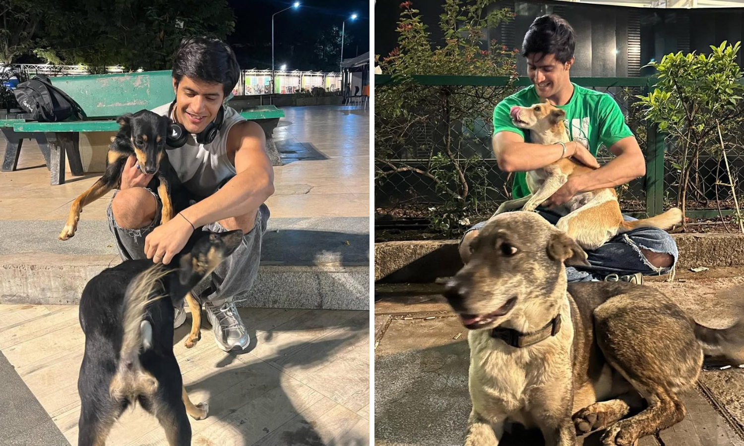 Sorab Bedi on Animal Abuse Case: When Humanity Falls Silent, We Must ...