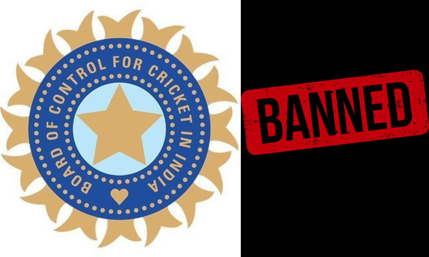 Fixing Attempts: Ex-franchise Owner Gets Lifetime Ban From BCCI