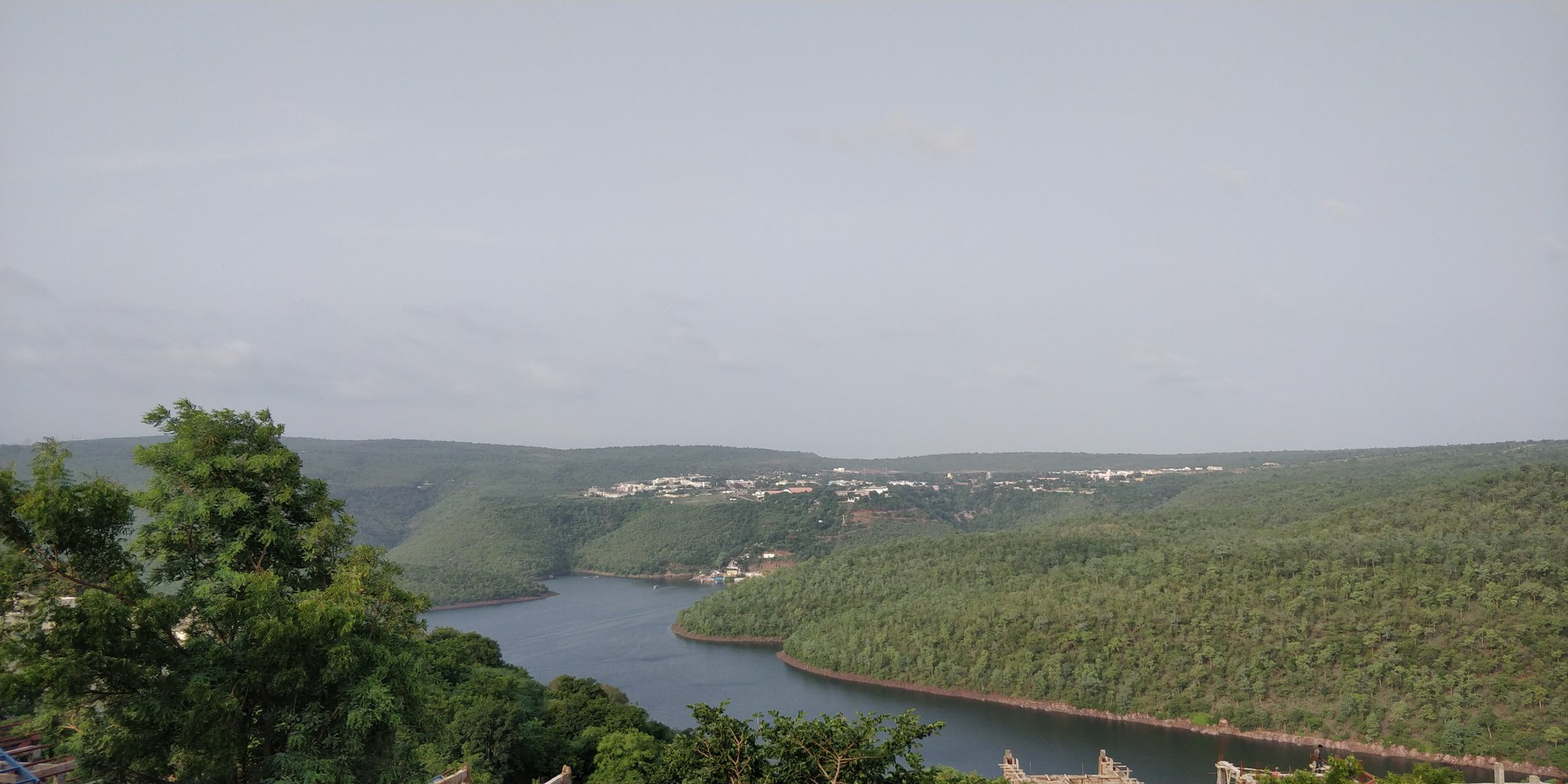 Nallamala Forests: A Treasure Trove of Nature and Wildlife Tourism