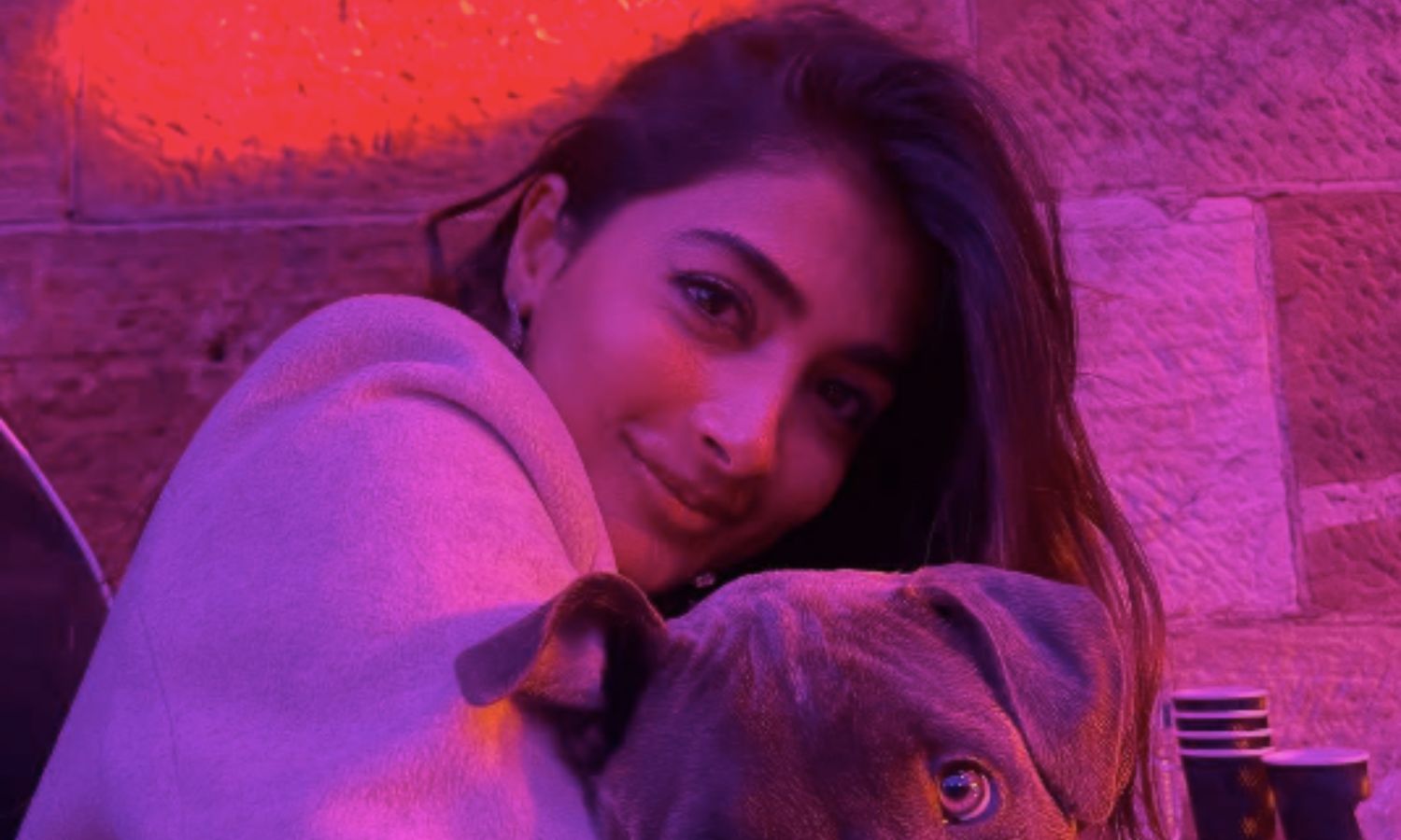 Pooja Hegde Melts Hearts With Adorable Pet Moment