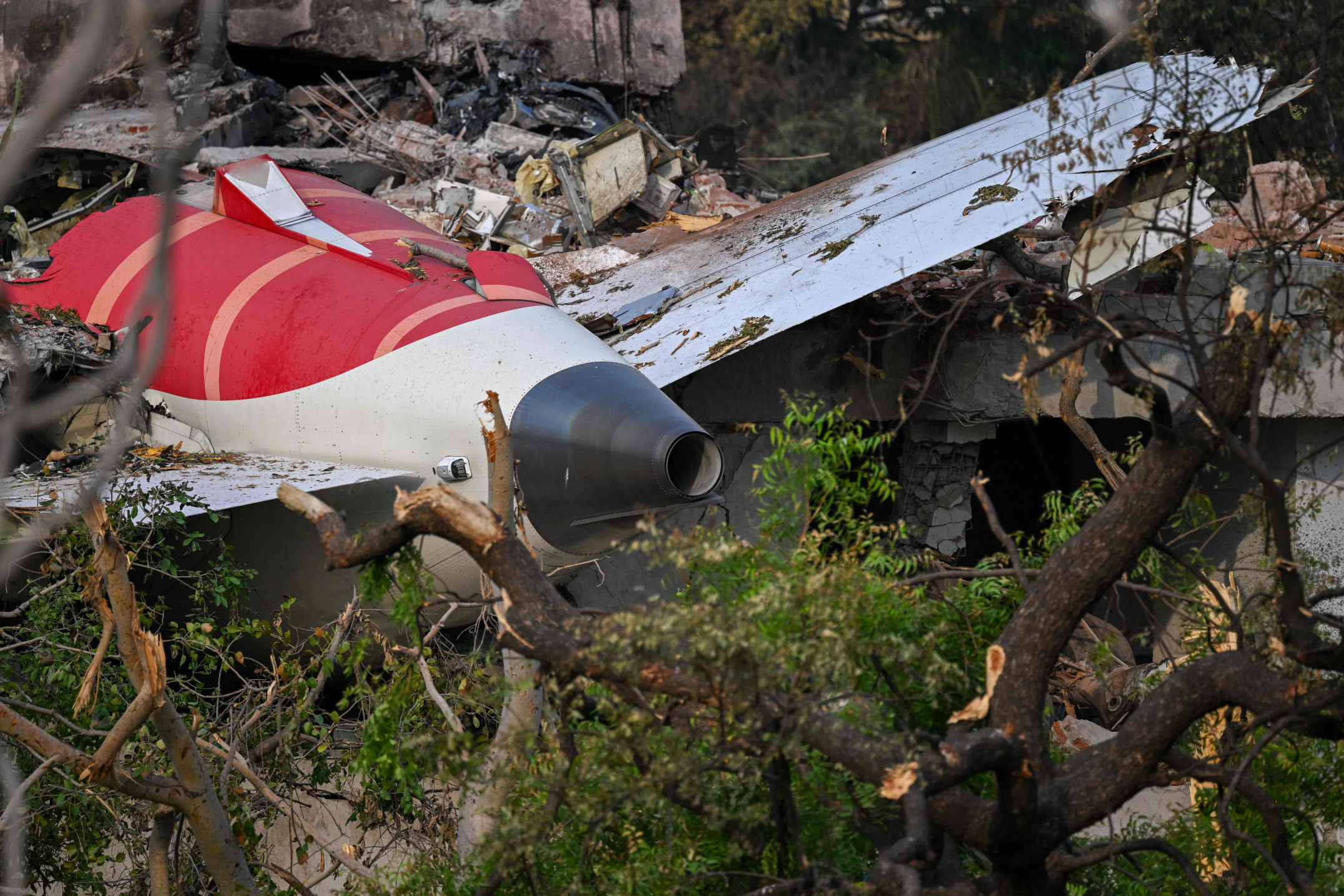 AI Plan'es Emergency-Power System Likely Active Before Crash: Report