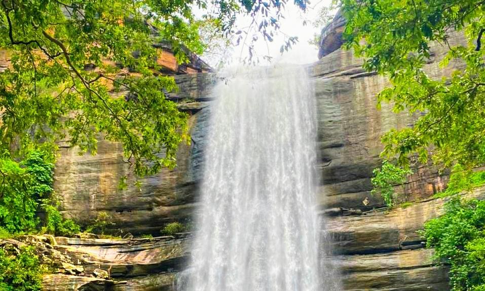 Adivasi Youth Take Up Home Stay At Gundala Waterfall