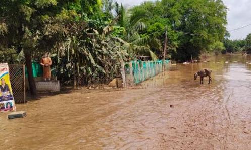 Flood Alert for Villages Close to Ponnai River in Vellore