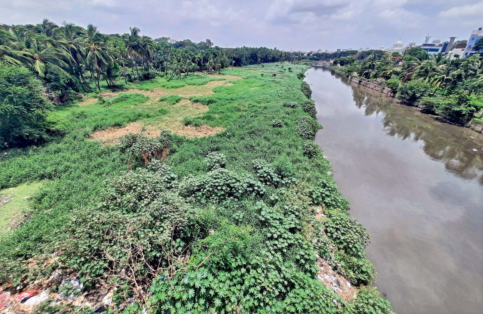 Telangana Govt Releases ₹375 Crore for Musi Riverfront Development Project