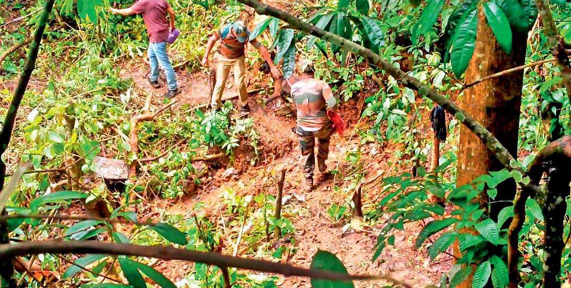 Dharmasthala Case: Human Skeletal Remains Found During Spot Inspection