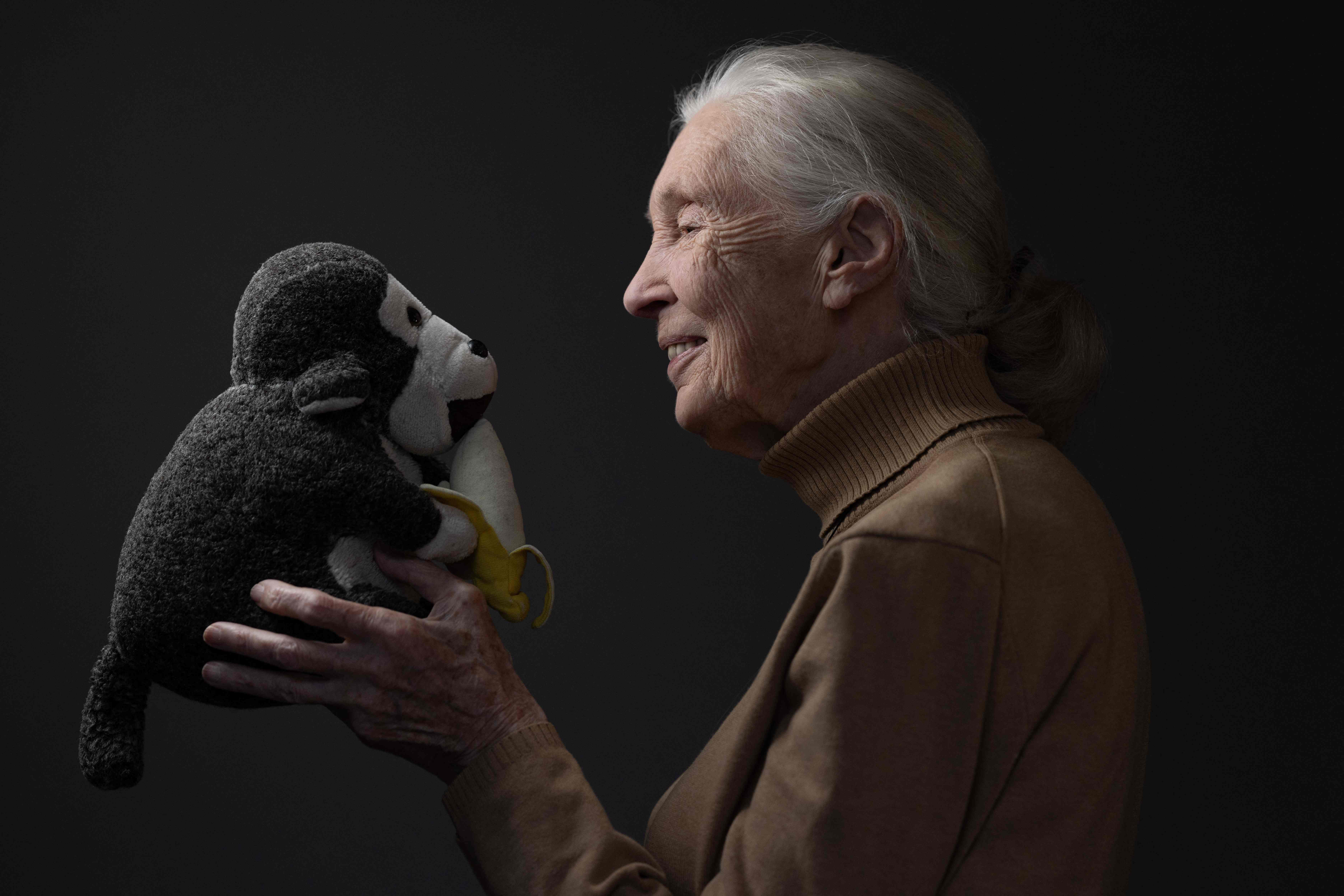 Jane Goodall, Renowned Conservationist And Animal Rights Campaigner ...