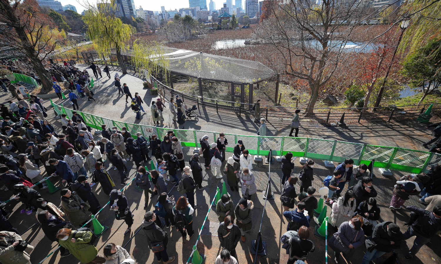 Thousands Visit Tokyo Zoo to See Japan’s Last Two Pandas Before Return ...
