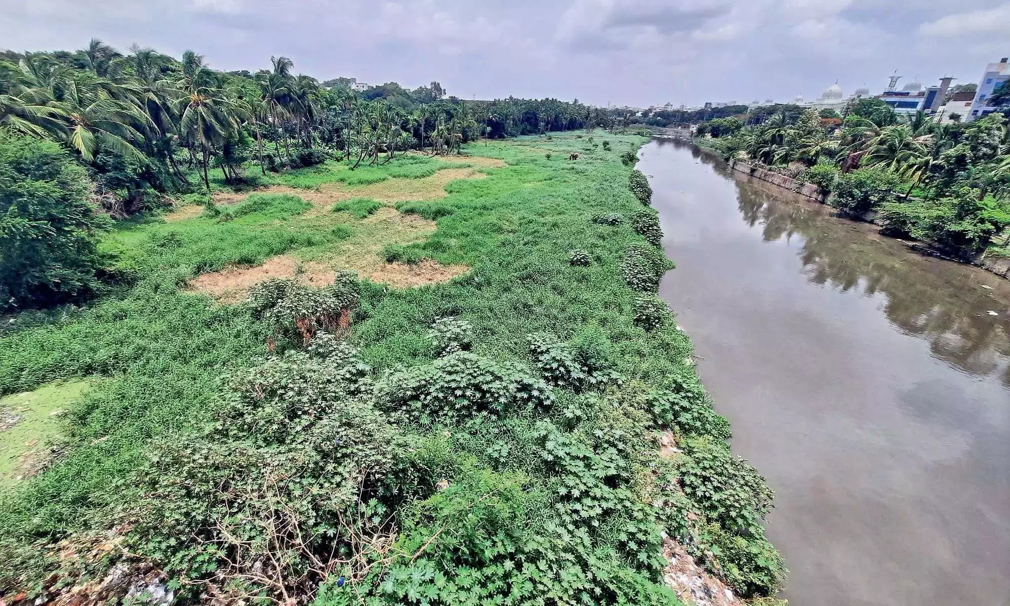 Telangana Govt Releases Rs 375 Crore for Musi Development Project